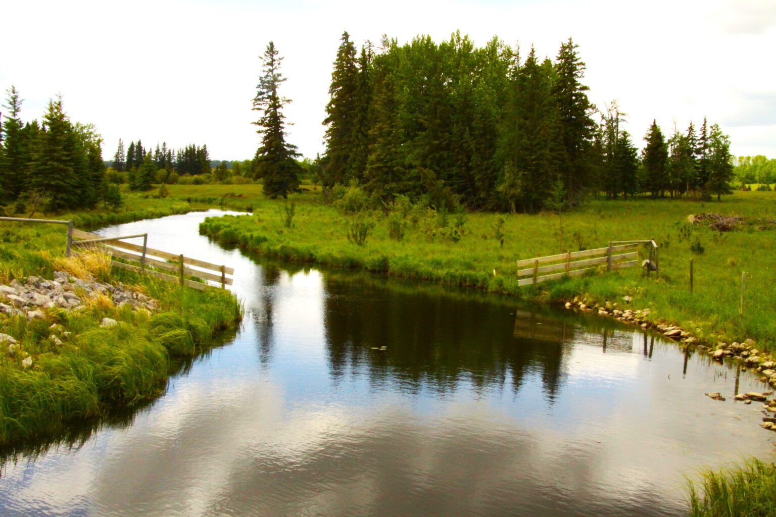 Water Licences & Current Conditions – Home